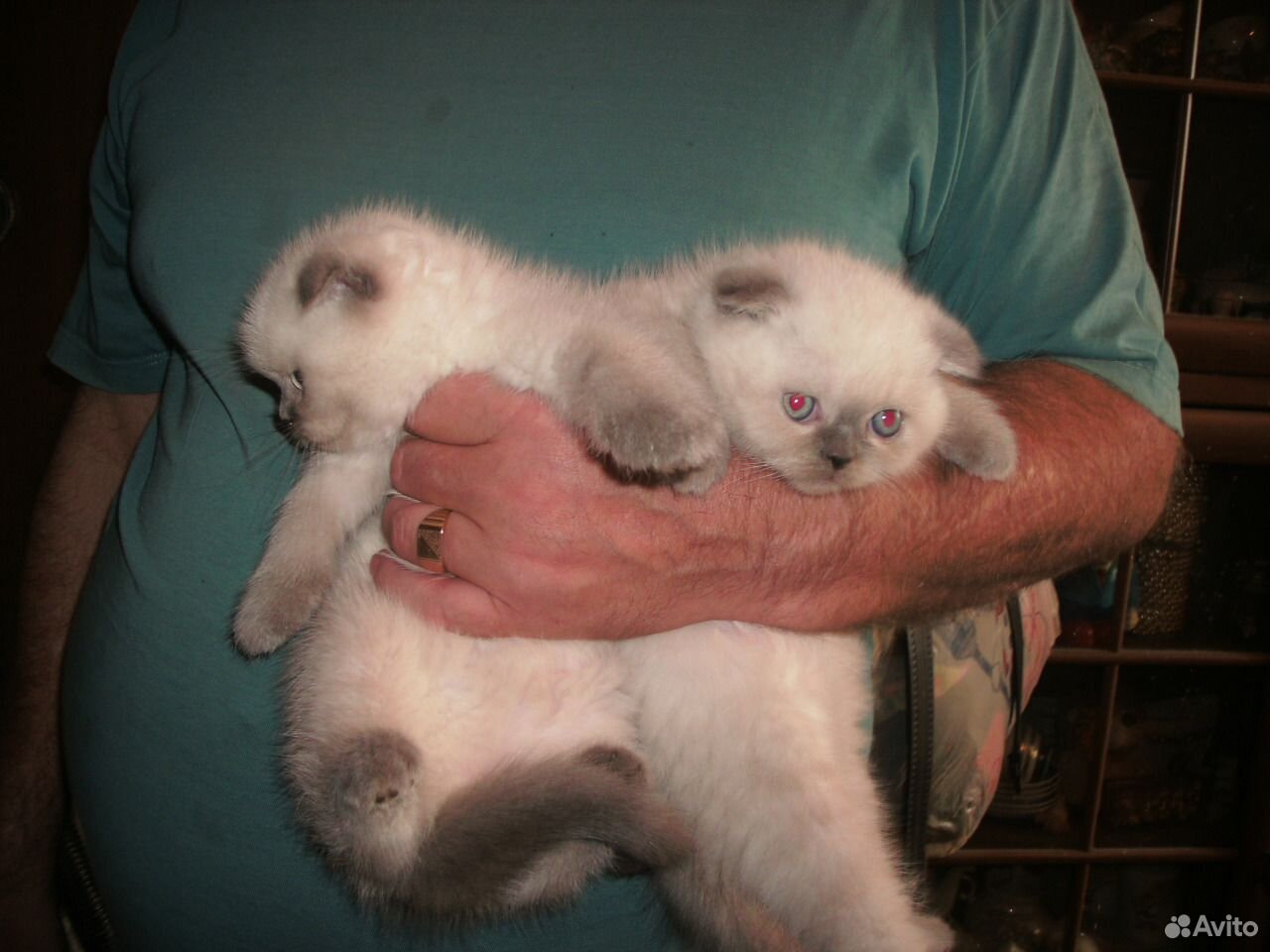 Нарядные малышы