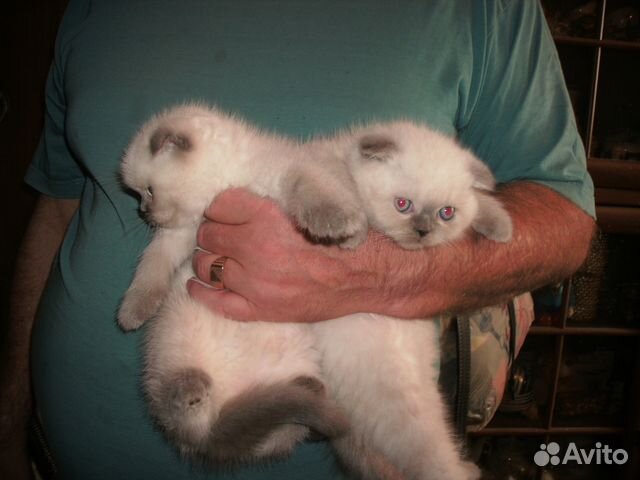 Нарядный малыш