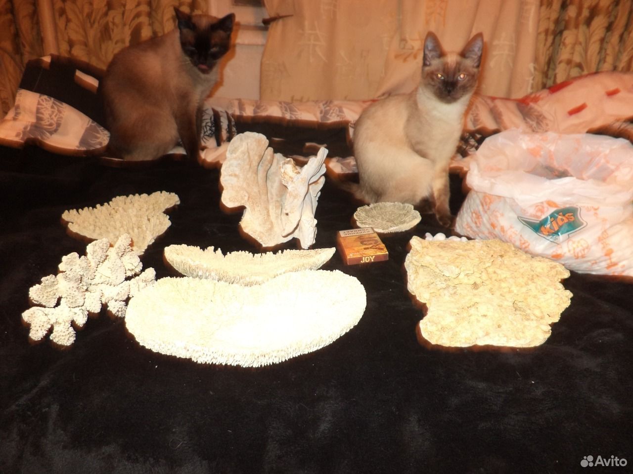 Шикарный набор для псевдоморя