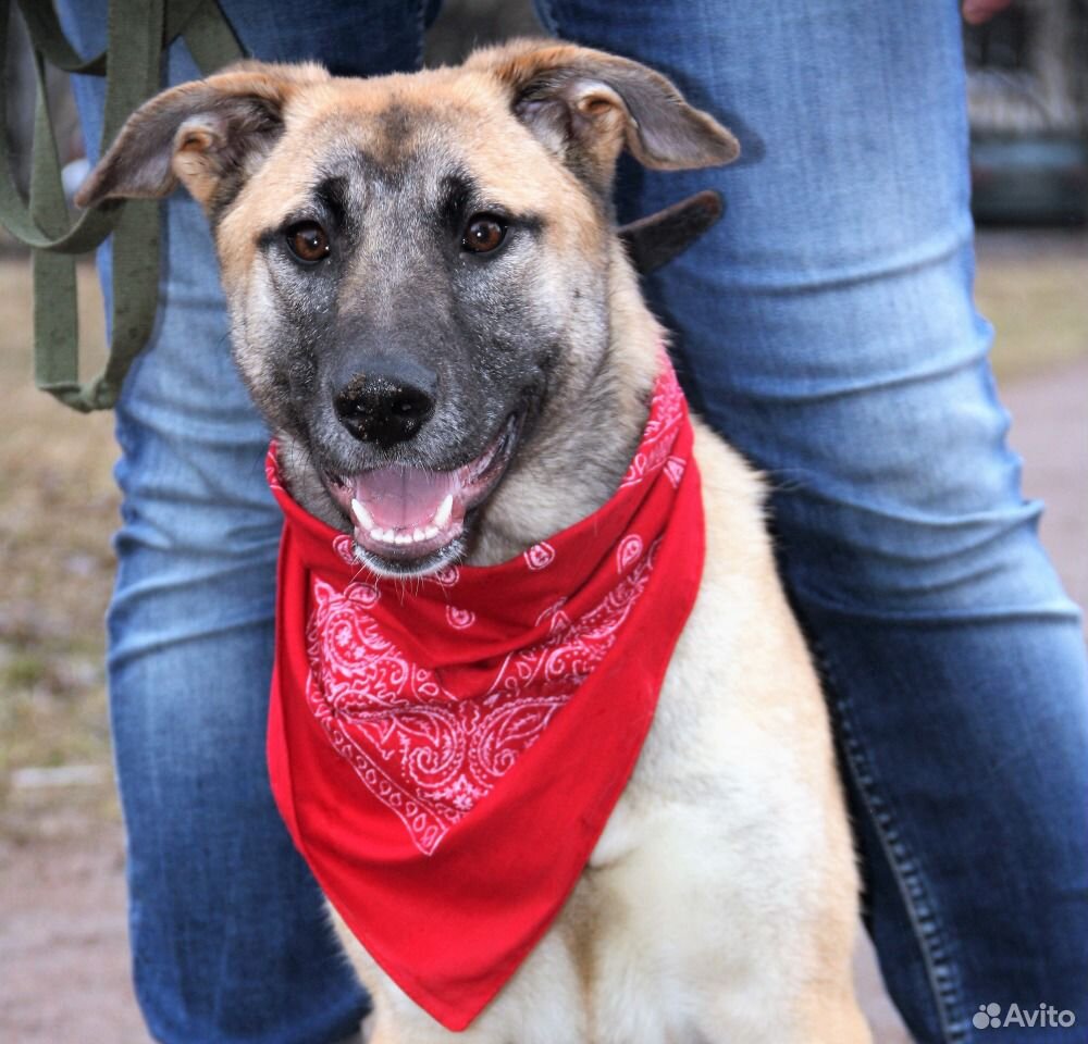 Жуля в добрые руки