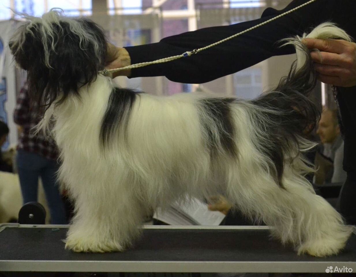 Очаровательная девочка пуховка