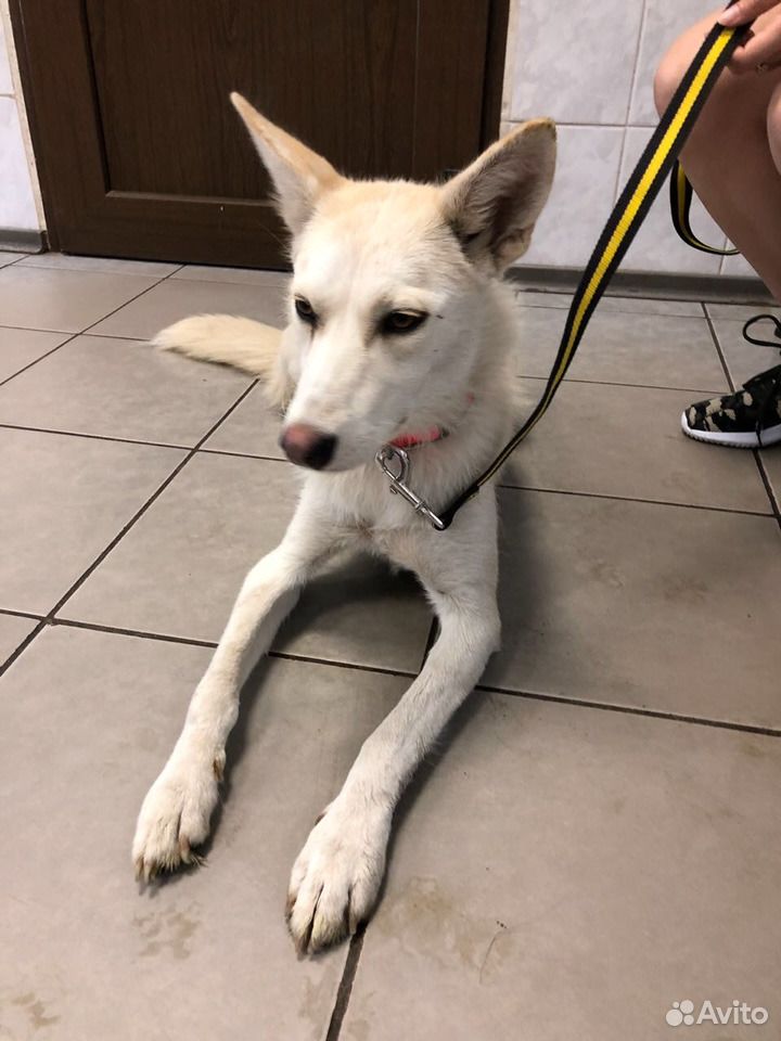 Необычайная красотка Айта ищет дом