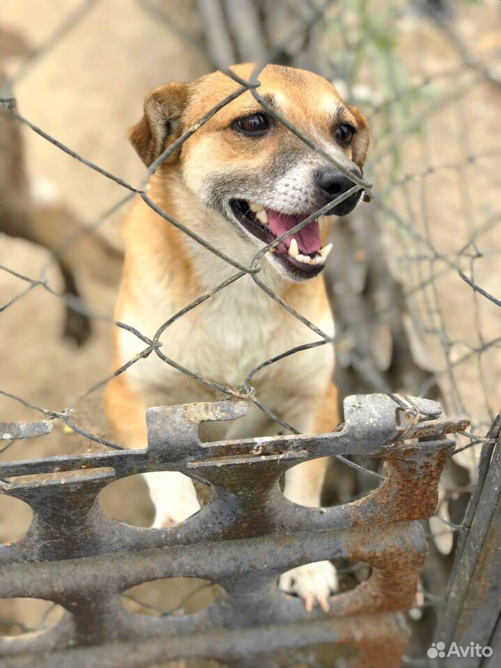 Малыш Бон-Бон