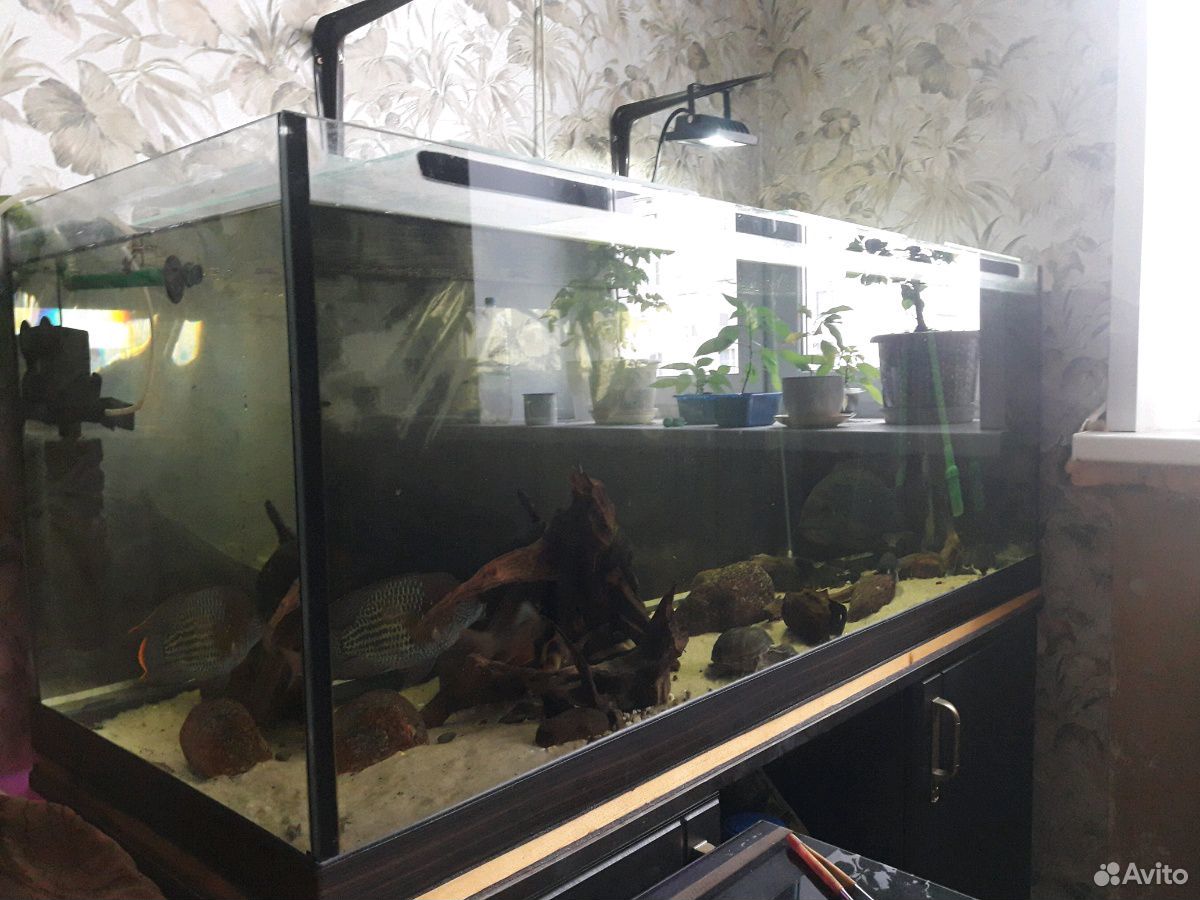 Аквариум 325 литров