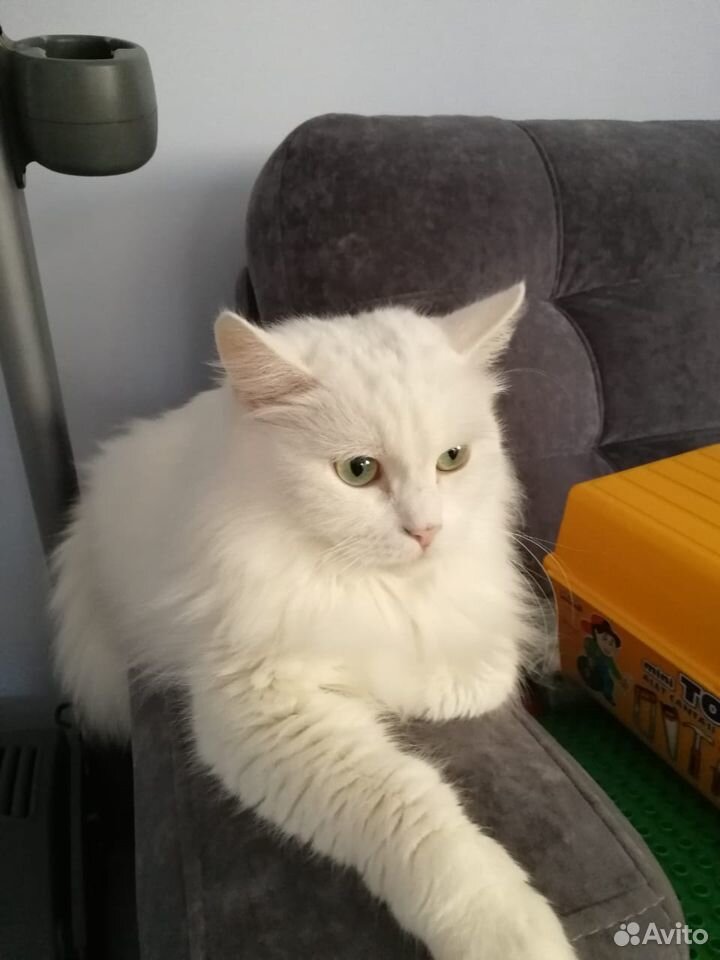 Нежная Снежинка