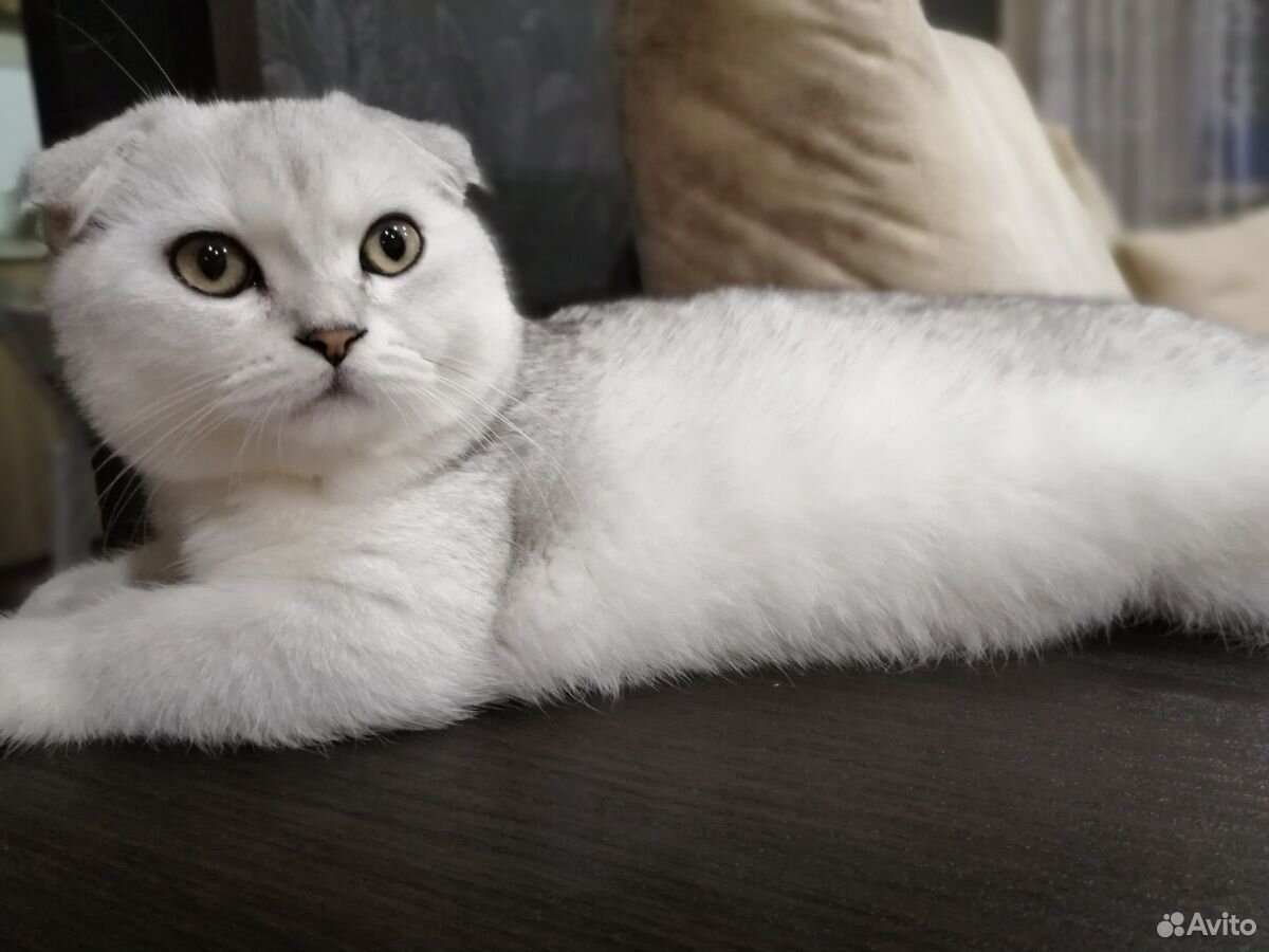 Вязка