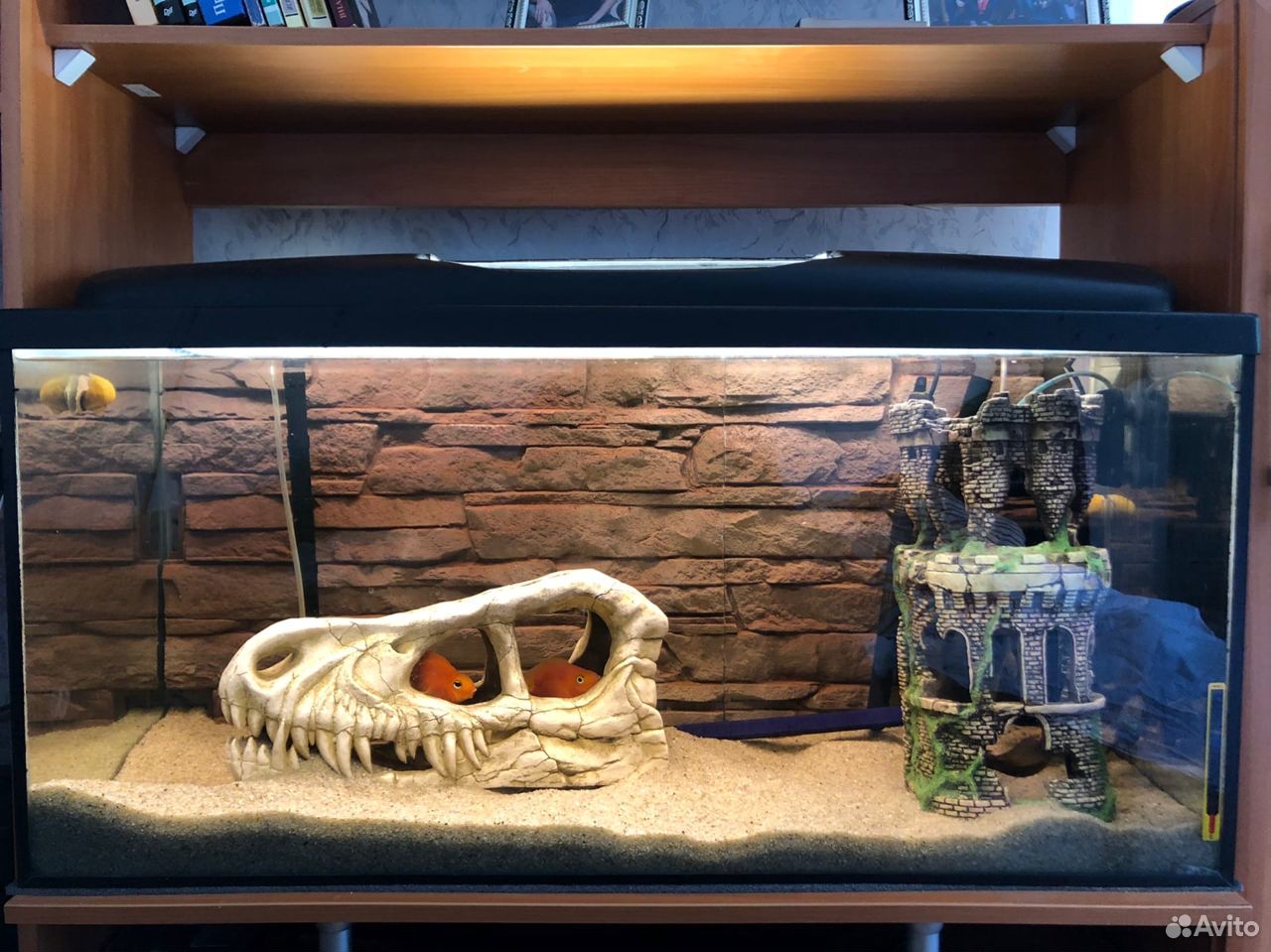 Аквариум 200 литров