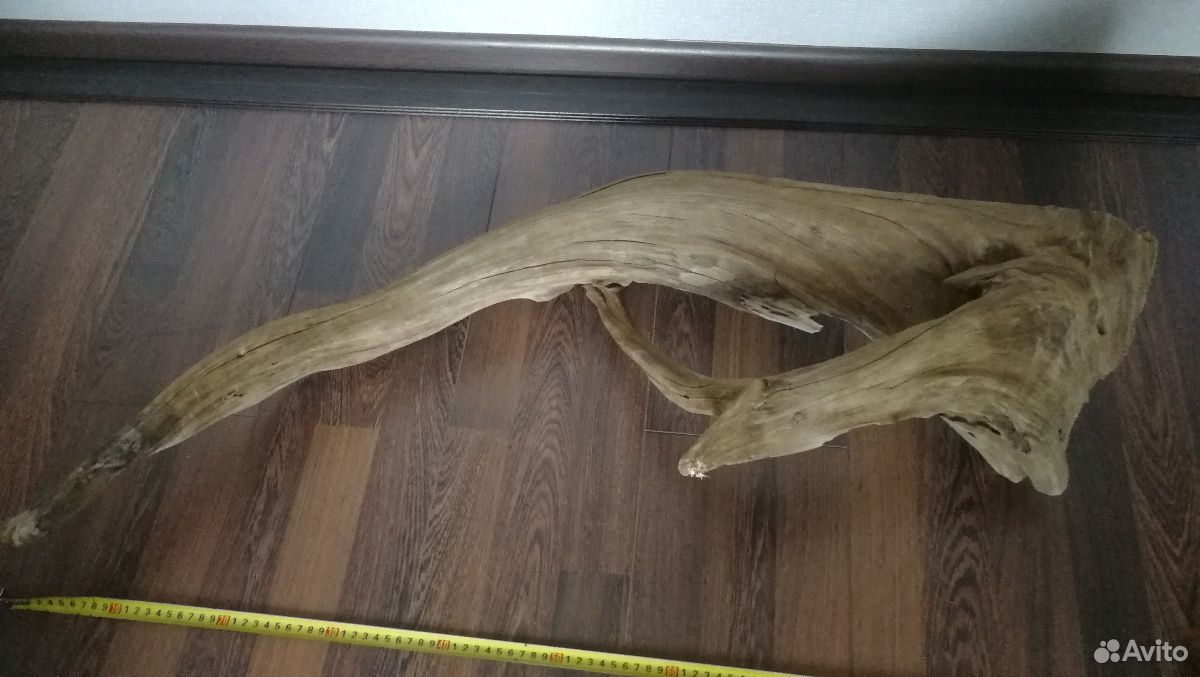 Коряга