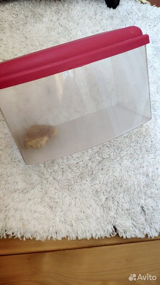 Террариум, аквариум, пластиковый переноска