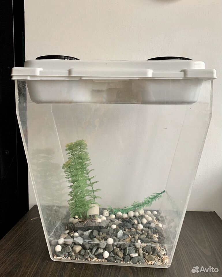 Аквариум Акваферма