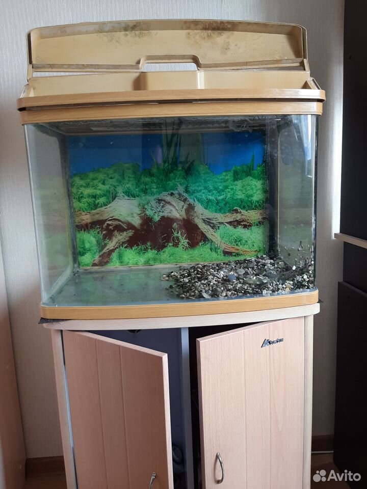 Продажа аквариума