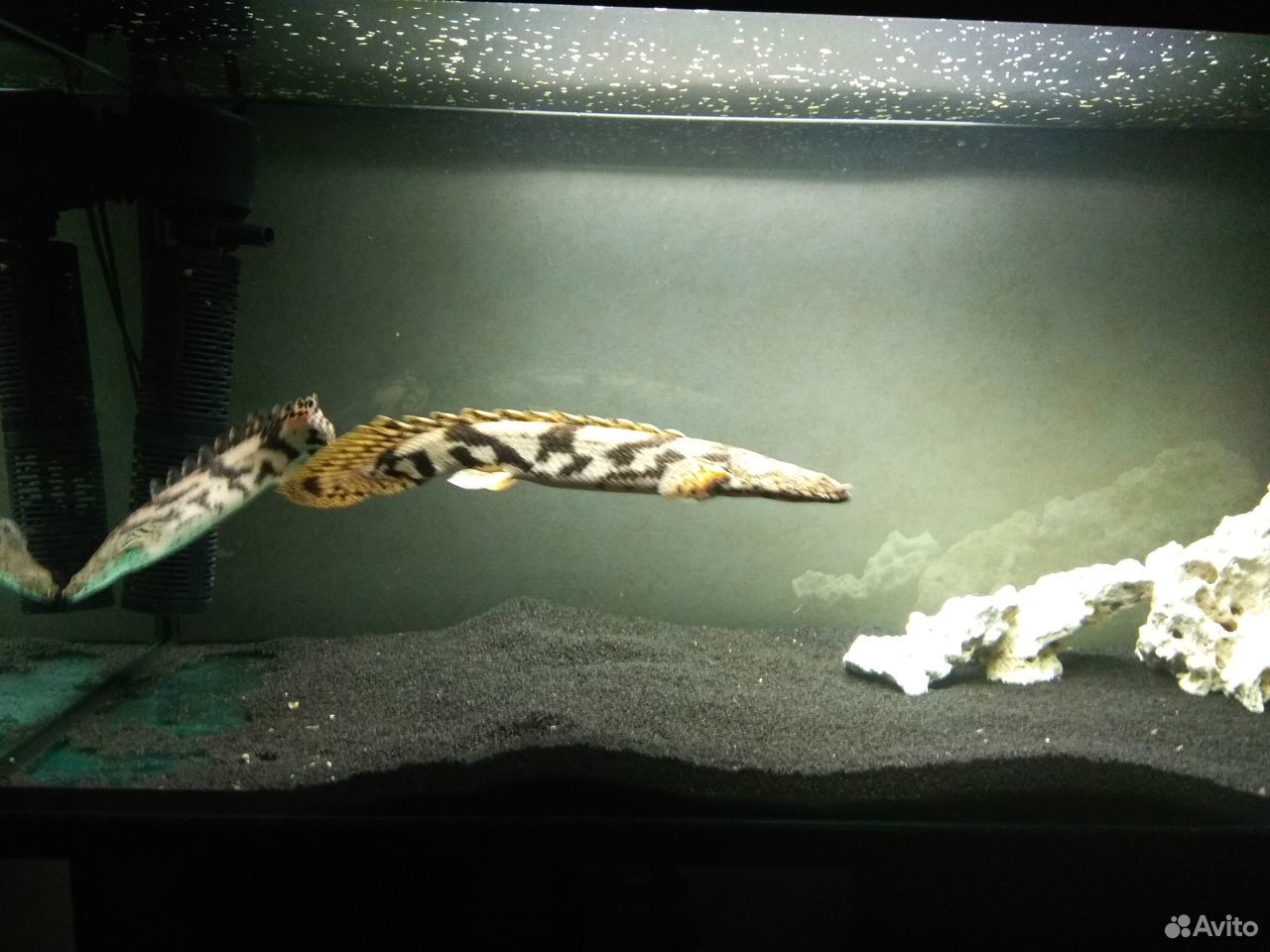 Аквариум 200 л в сборе