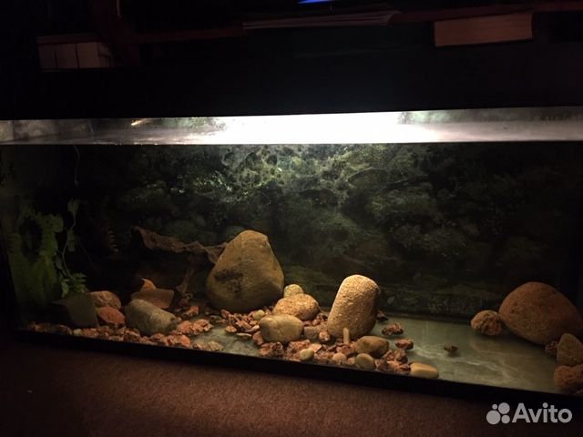 Продам аквариум 330л