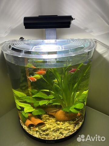 Аквариумный комплекс 30 л Tetra AquaArt