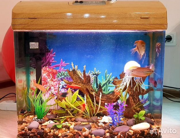 Аквариум jebo
