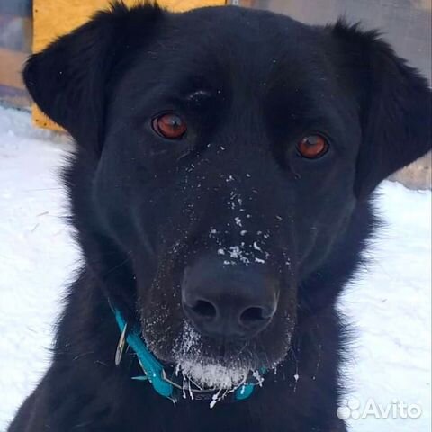 Мечтали о такой красоте Получайте