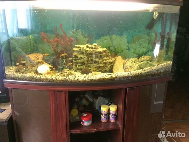 Аквариум 320 литров