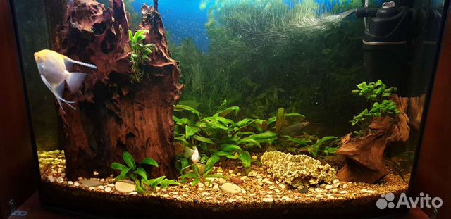 Украшение для аквариума