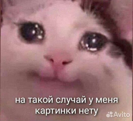 Собака в добрые руки мальчик добрый детей в школу