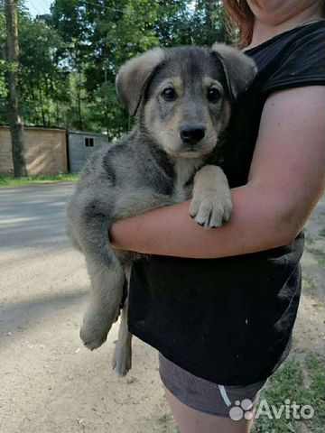 Парнишка Нафаня