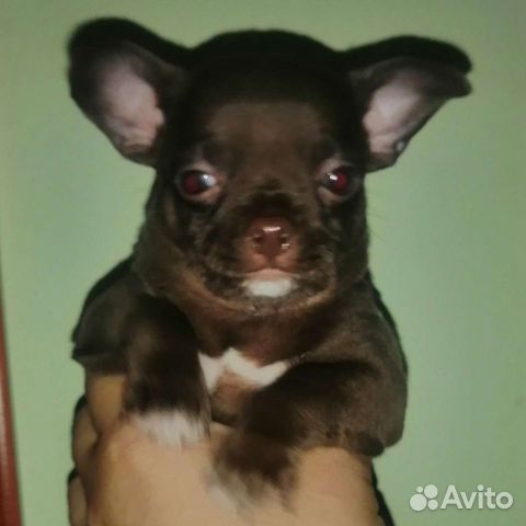 Мальчишки Чишки