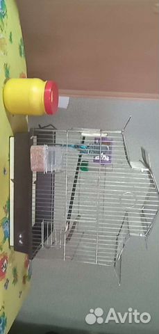 Попугай с клеткой, волнистый