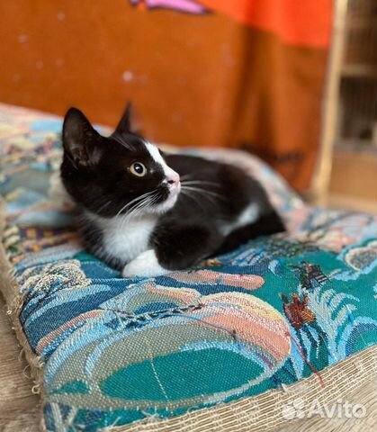 Малыш ищет своих родителей