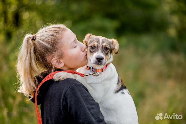 Паренёк ищет дом