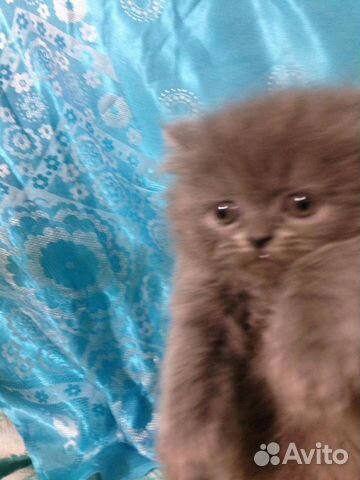 Сибирское очарование