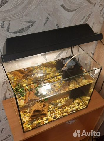Продам аквариум с рыбками