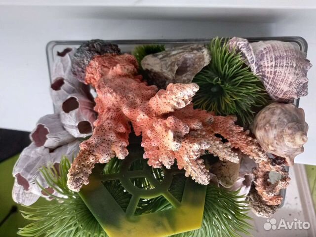 Декор для аквариума