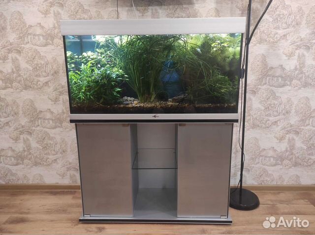 Аквариум 200 л. biodesign