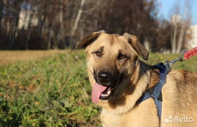 Замечательная девочка ищет маму и папу. Ей всего 1