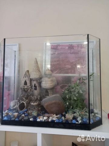 Аквариум