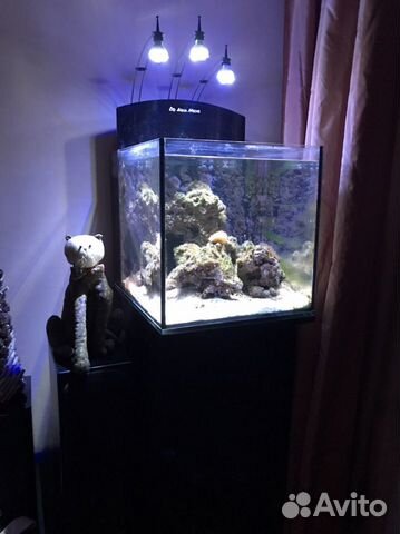 Морской аквариум