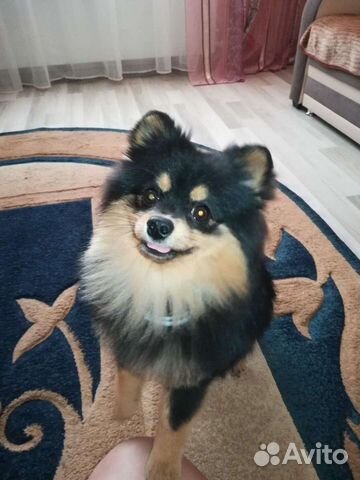 Ищем невесту