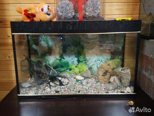 Аквариум