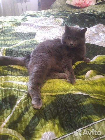 В хорошие руки