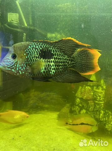 Аквариум с тумбой