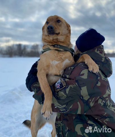 Баффи не выжить в приюте