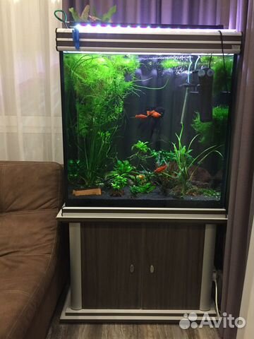 Готовый аквариумный комплекс, 300 л