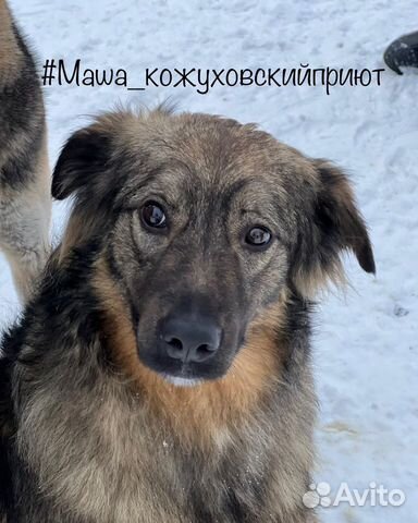 В поисках семьи