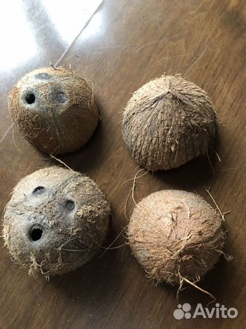 Скорлупа от кокоса