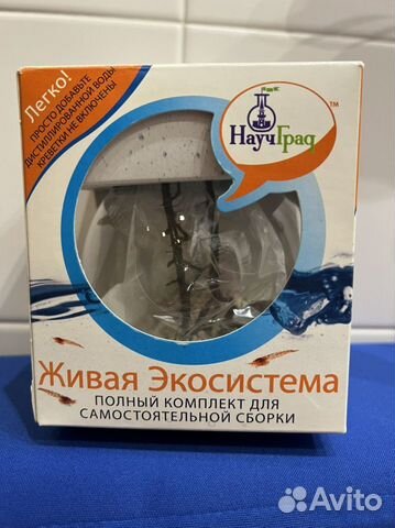 Мини- аквариум / эко- система в дом / офис