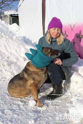 Собака Дуня в добрые руки