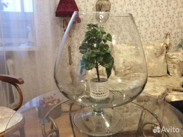 Аквариум рюмка 7-9 литров