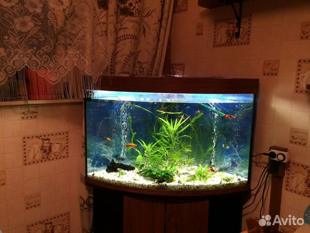Аквариум с тумбой 185 л. под ключ
