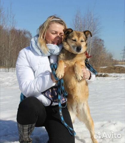 Милая Груша в дообрые руки