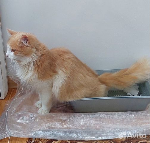 Любвь и тепло здесь