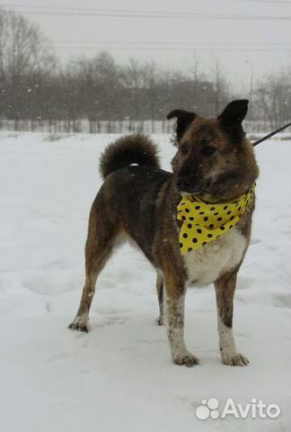 Боится умереть в клетке